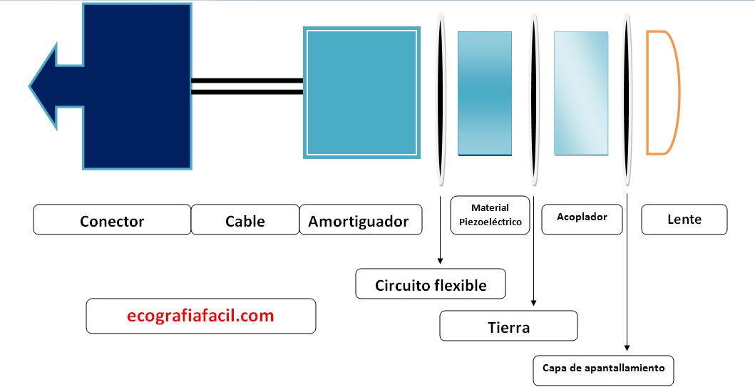 10. El Transductor, su componentes. – Ecografía Fácil