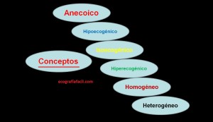 30. La Homogeneidad y la Heterogenicidad de la Imagen. – Ecografía Fácil