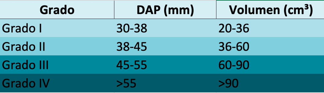 420. HBP – Medidas y Clasificación – Ecografía Fácil